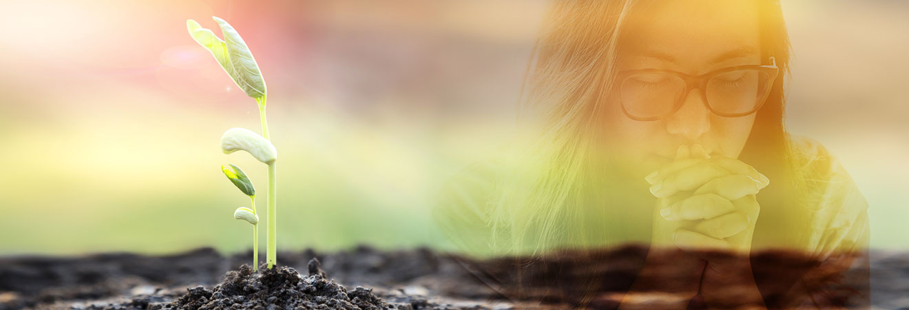 Lesson 5 – How to Stay Alive - Answers for Me