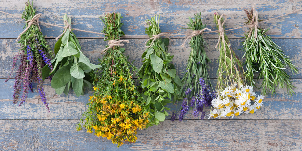 Healthy Herbs - Answers for Me